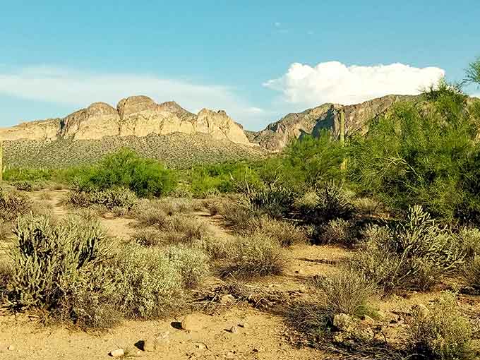 Sunny days at Saguaro Lake come with scenery so perfect it almost seems unfair to places with actual oceans and less impressive backdrops.