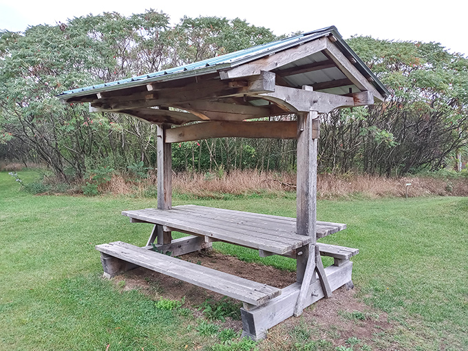 This rustic covered picnic area offers a perfect spot to contemplate lunch &ndash; and how you're dining where ancient sea creatures once swam.