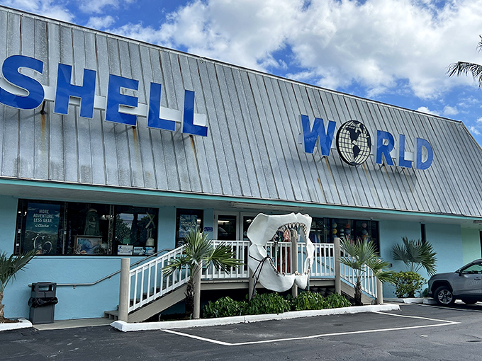 Shell World stands as a temple to oceanic treasures, where beachcombers find souvenirs nature spent years perfecting.