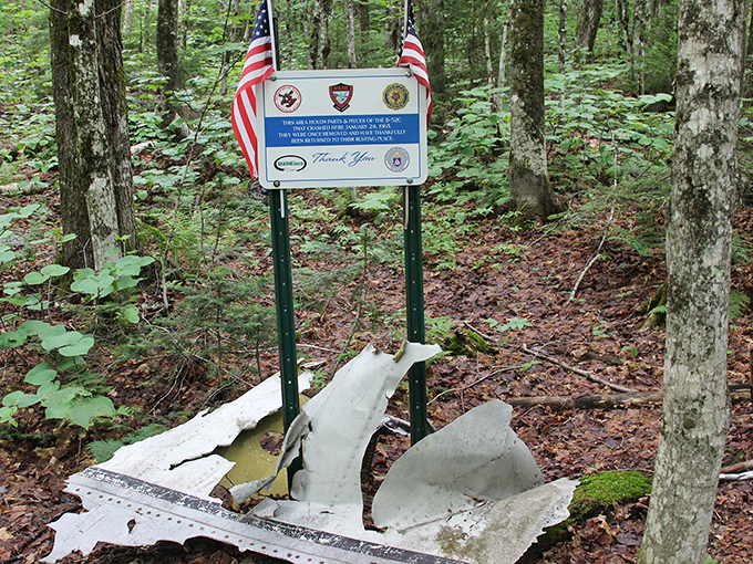 Official recognition from multiple agencies acknowledges the historical significance of this preserved crash site.