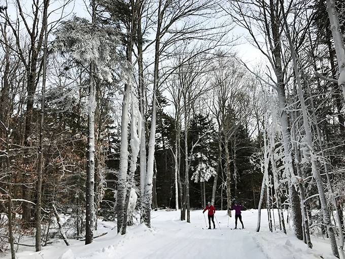 Cross-country skiing through Ripton's winter wonderland feels like gliding through the pages of a Robert Frost poem &ndash; silent, profound, and surprisingly accessible.