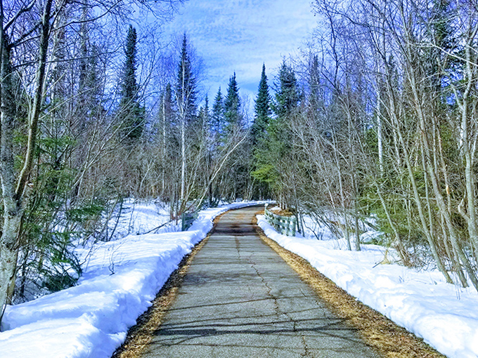 Winter transforms the trail into a hushed wonderland where each footstep writes your story in pristine snow.