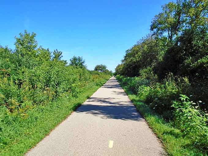 Summer's embrace turns the trail into a green corridor, where cyclists and hikers share the path once traveled by locomotives.