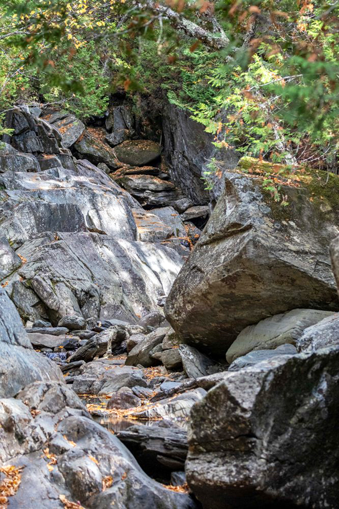 Nature's staircase of weathered stone leads adventurers through a gorge that feels like stepping into Earth's own art studio.