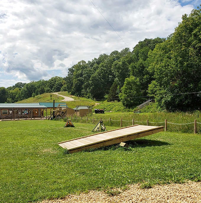 Summer's lush landscape stretches to the horizon, offering zipliners a bird's-eye perspective of Minnesota's natural beauty.