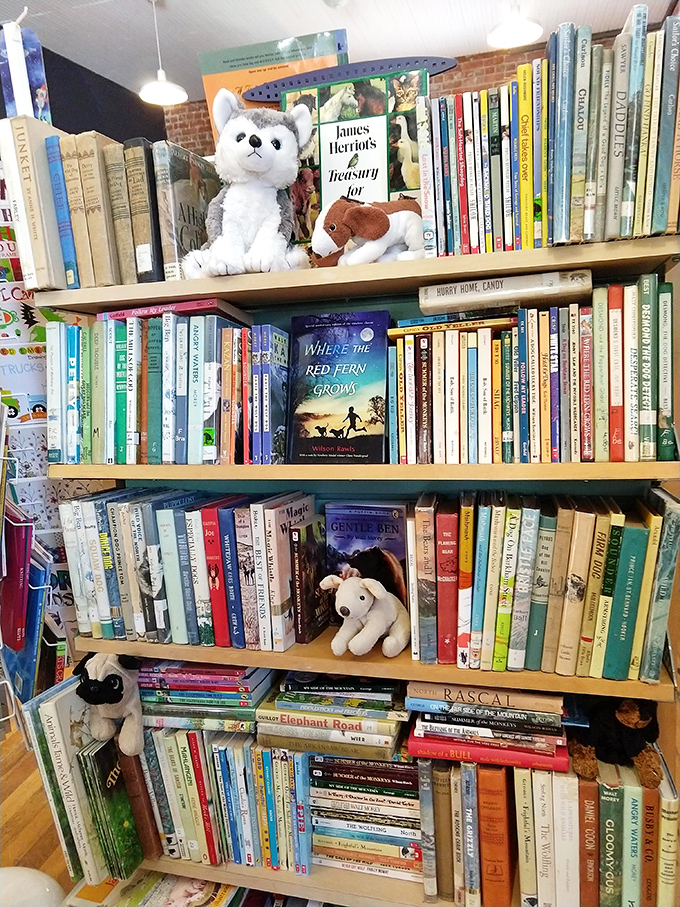 Stuffed animals peek out between beloved children's classics, creating a magical menagerie where Pooh, Piglet and friends await new admirers.