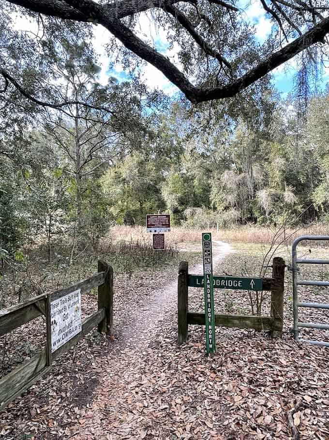 Multiple trailheads provide access points throughout the greenway system, making it easy to customize your adventure to match your ambition level.