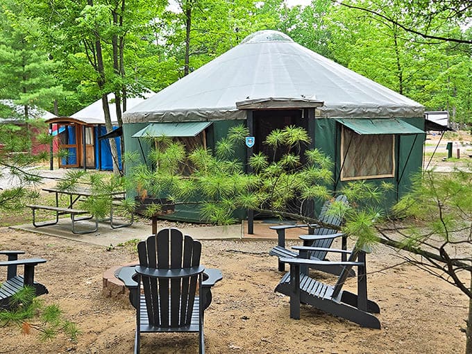 Forest-green yurt surrounded by Adirondack chairs &ndash; nature's living room where pine-scented air replaces artificial fresheners.