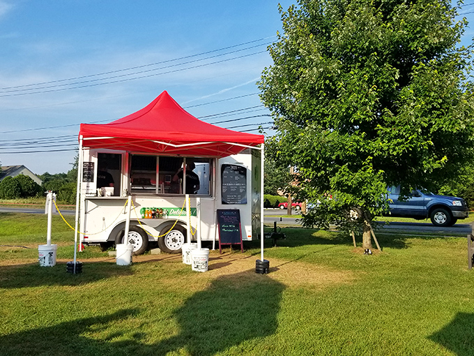 Food trucks bring global flavors to small-town Vermont, because sometimes the best meals come from wheeled kitchens parked on grass under open skies and honest sunshine.