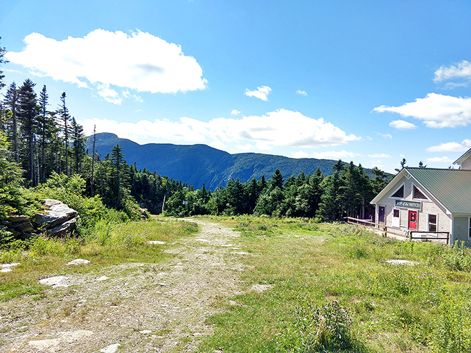 The mountain summit clearing offers a moment to breathe deeply and pretend you're not secretly winded from the climb.