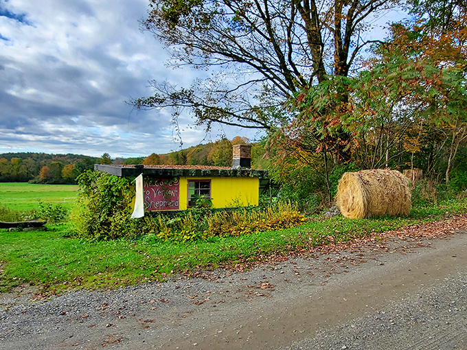 Rolling hills and a bright yellow farm stand welcome you to enjoy the quiet beauty of this colorful autumn landscape.