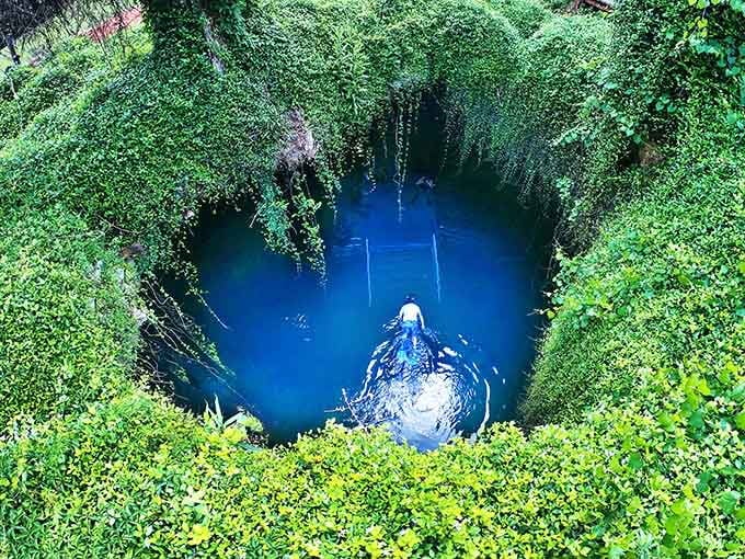From up here, the spring looks like someone dropped a giant sapphire in the ground and forgot to pick it up, Florida's happy accident.