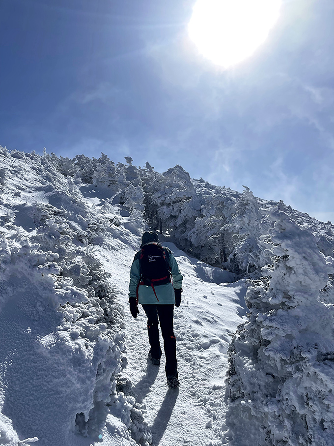 Following in the footsteps of countless adventurers before, this hiker marches through a corridor of snow-frosted evergreens.