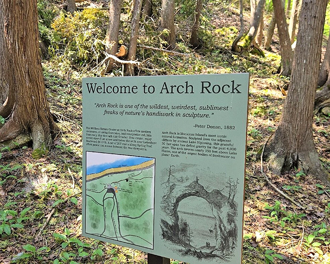 "One of the wildest, weirdest, sublimest freaks of nature's handiwork in sculpture." Peter Donan wasn't one for understatement back in 1882.