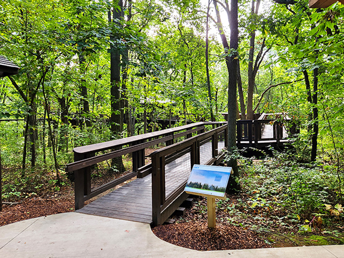 This rustic viewing platform serves up panoramic nature with a side of serenity, perfect for contemplating life's big questions or just enjoying the view.