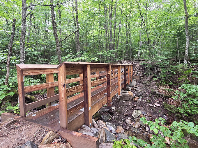 This rustic wooden bridge doesn't just connect two sides of a stream&mdash;it transports hikers deeper into Vermont's version of Narnia.