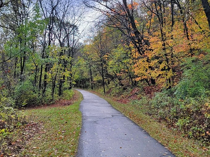 Fall transforms the trail into a tunnel of gold and amber, where every step crunches satisfyingly through autumn's colorful carpet.