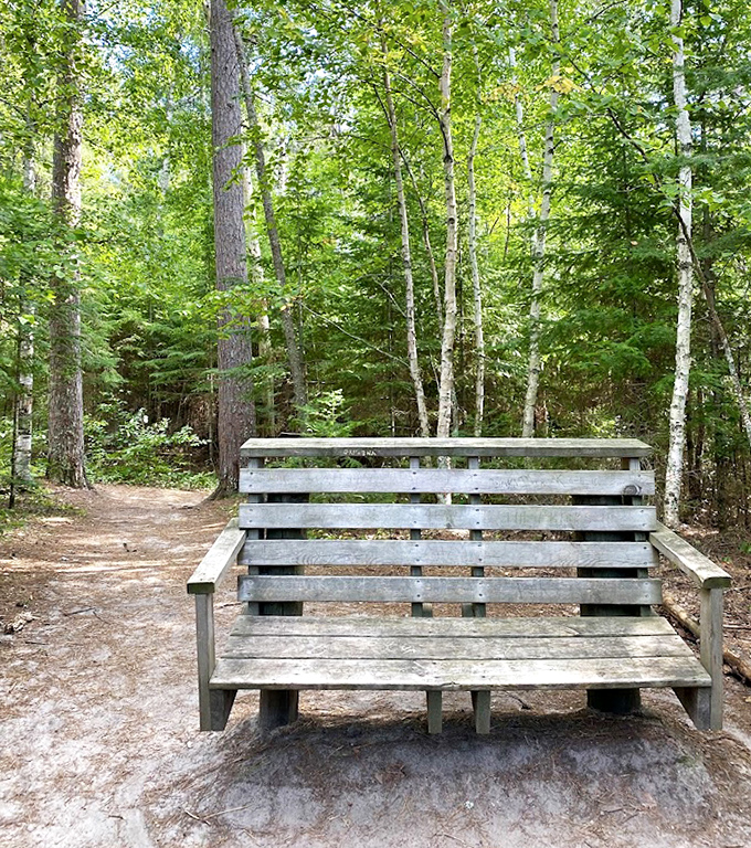 This weathered bench offers more than just rest&mdash;it's front-row seating to nature's greatest show, no ticket required.
