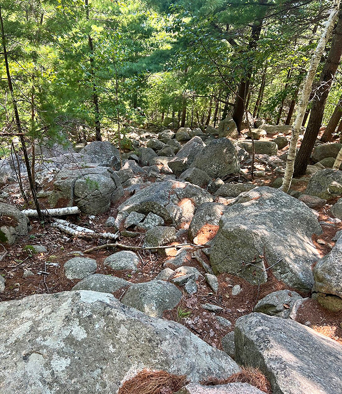 Nature's obstacle course – these ancient granite boulders have witnessed thousands of years of history while you're just trying not to trip.