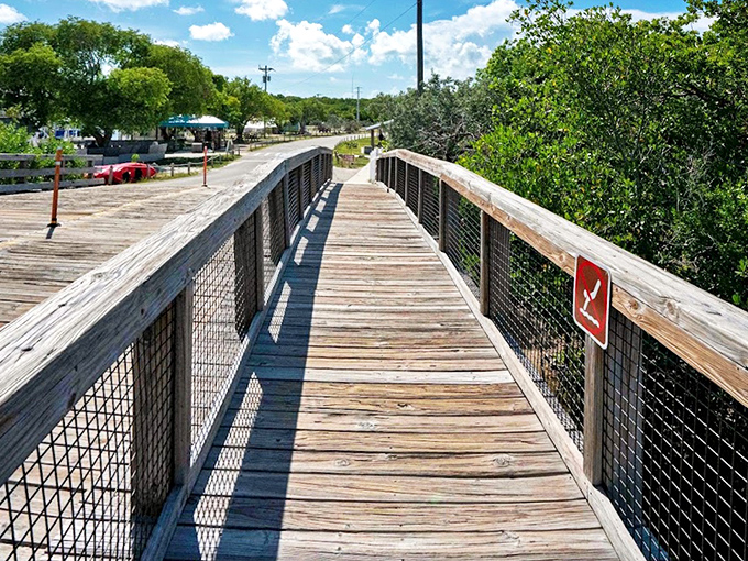 The boardwalk invites exploration, a wooden ribbon connecting visitors to natural wonders just steps from civilization.