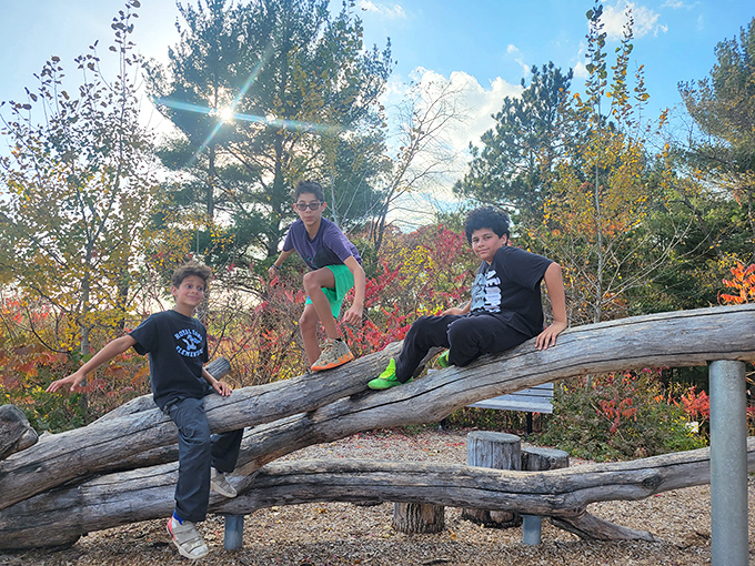 Three young adventurers claim their log kingdom, showcasing the universal truth that any horizontal tree becomes a balance beam.