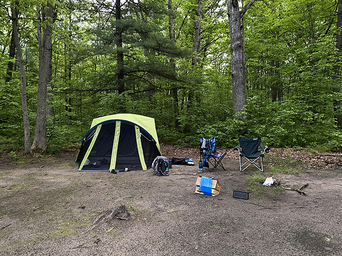 Camping at Deerfield means trading digital notifications for nature's soundtrack, a symphony of rustling leaves and distant owls that no playlist can match.