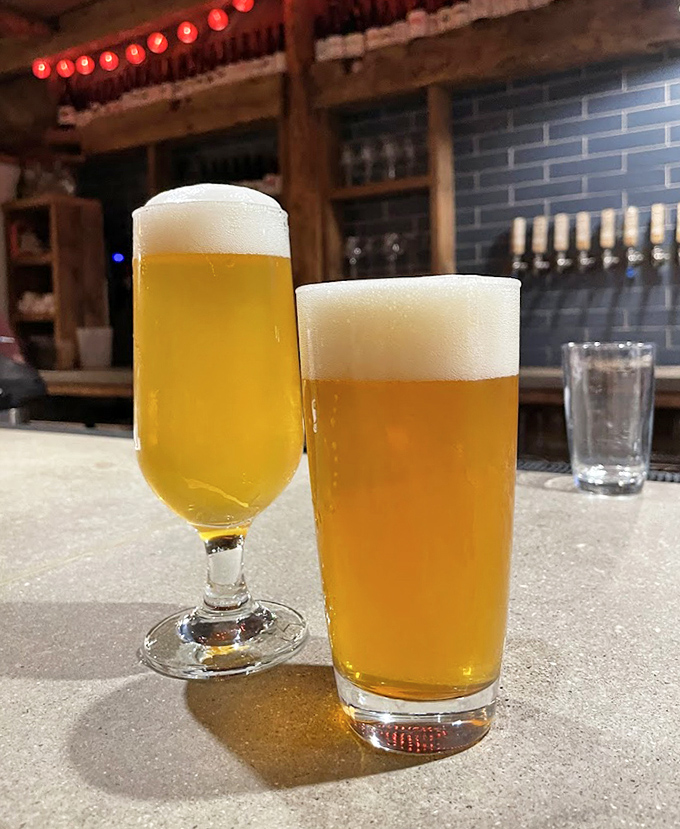 Golden elixir in perfect glassware &ndash; Oxbow's craft beers showcase Maine's brewing excellence with farmhouse styles that pair perfectly with outdoor adventures.