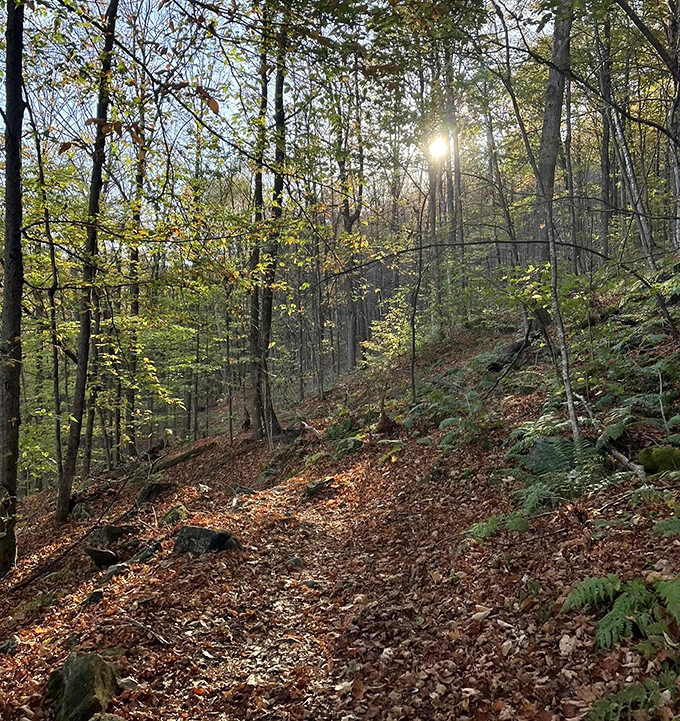 Woodland whispers: The trail meanders through sun-dappled forest floors where generations of hikers have sought solace and adventure.
