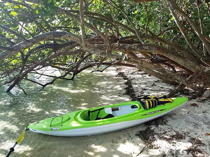 That kayak under the mangroves is living its best life, and honestly, same energy we're all trying to achieve.
