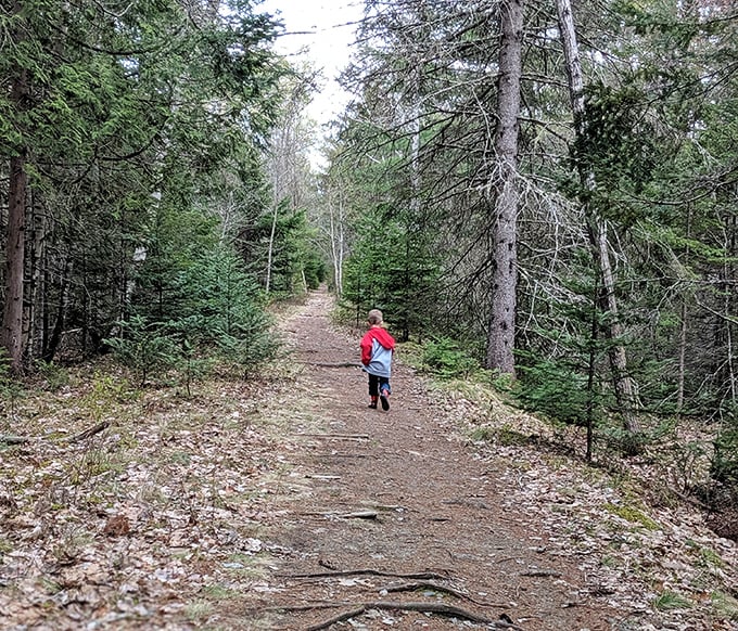 Little explorers make the biggest discoveries &ndash; this young adventurer finds joy in the simple pleasure of a forest trail.