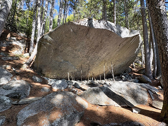 This massive glacial erratic stands sentinel along the trail, deposited by retreating ice sheets thousands of years ago.