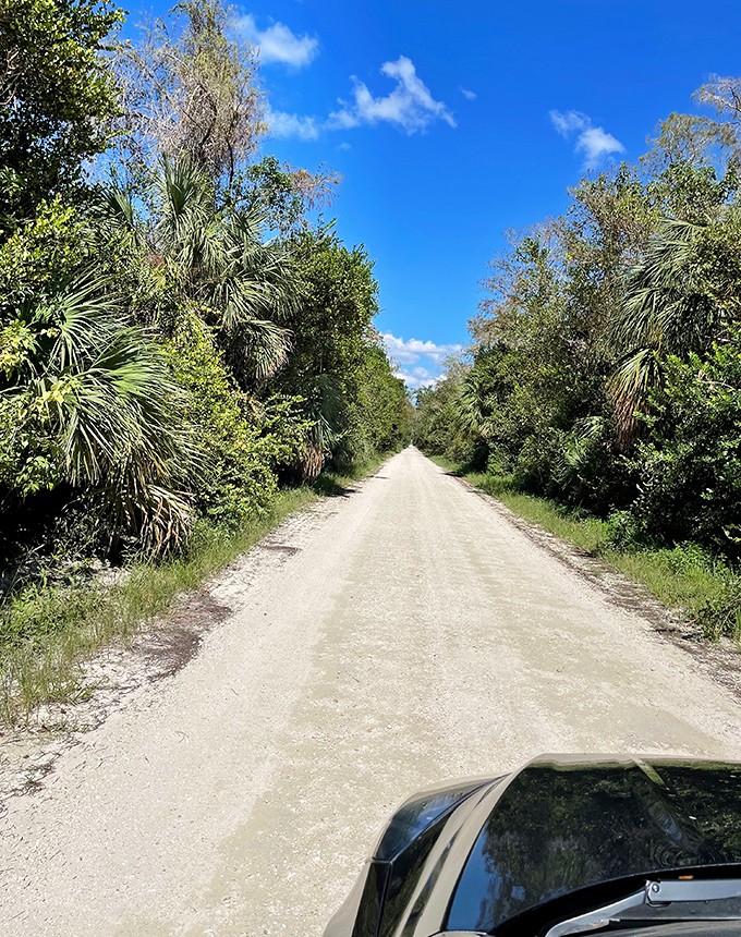 The road less traveled &ndash; where every curve brings a new surprise and the only traffic jam might involve a family of turtles.
