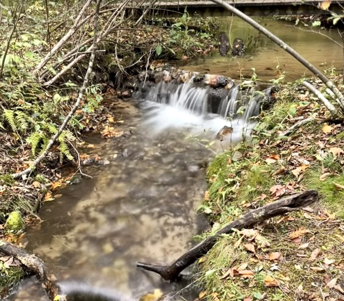 Nature's version of a spa treatment &ndash; mini waterfalls creating soothing sounds that no white noise machine could replicate.