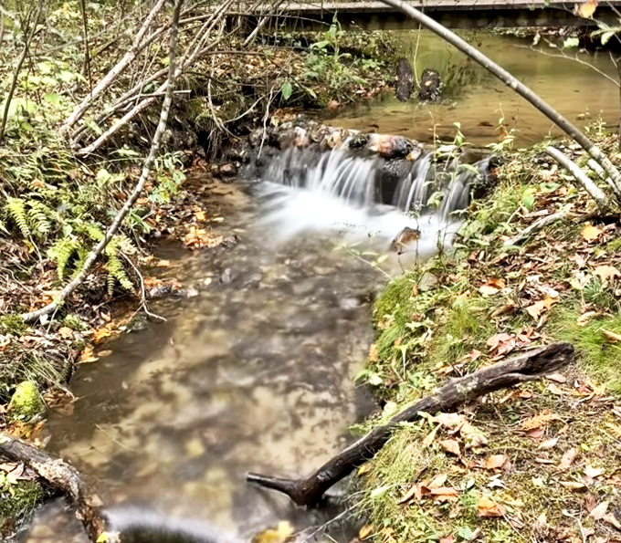 Water tumbles over rocks in this miniature cascade, nature's version of a soothing sound machine that doesn't need batteries or Wi-Fi.