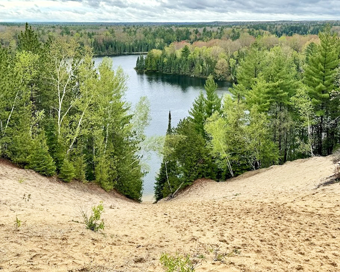 The perfect marriage of sand, water, and forest creates views that make even seasoned travelers stop mid-sentence and simply stare.