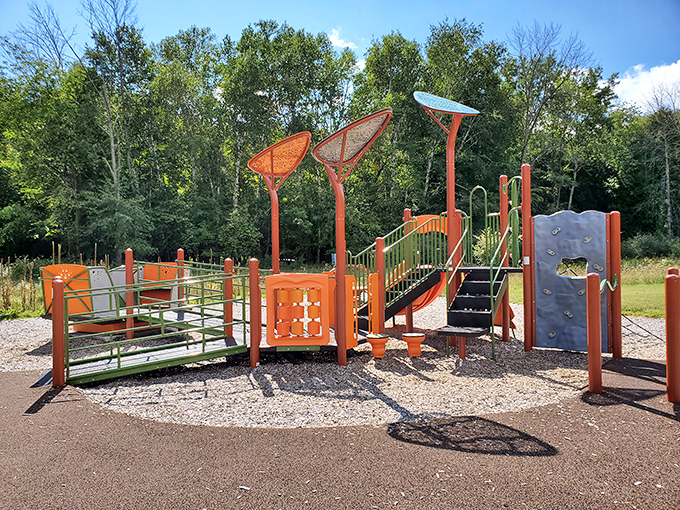 Even playground equipment gets the memo here: blend with nature while still promising the squeals of childhood joy.