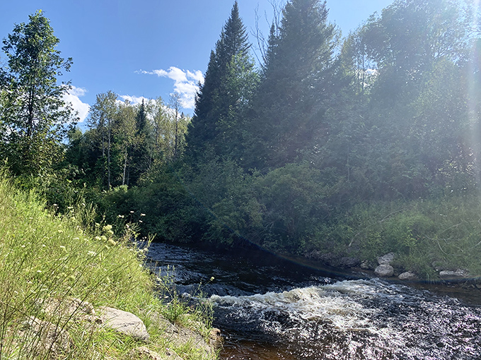 The Ocqueoc River meanders through Michigan's forests like a liquid highway, carrying stories and secrets downstream.