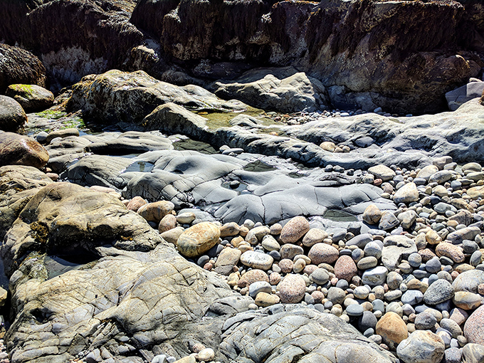 Dramatic rock formations frame the cove, creating private nooks where you can claim a piece of Acadia all to yourself.