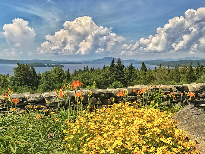 Where wildflowers frame water so clear you can count fish contemplating their life choices below.