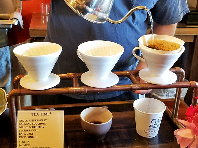 Tea service at The Owl & Turtle isn't rushed—it's a ceremony, with proper pots and timers ensuring steeping perfection.