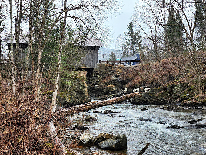 Gold Brook in autumn, with the bridge framing a scene straight from a Vermont postcard – beauty that belies the tragic tales.