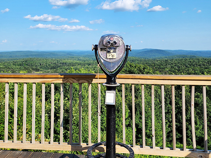 A silver sentinel standing guard, ready to transform quarters into memories that last far longer than the view.