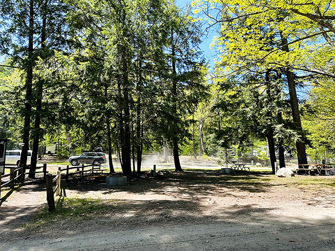 Tall pines create nature's cathedral ceiling above campsites where "roughing it" still includes vehicle parking.