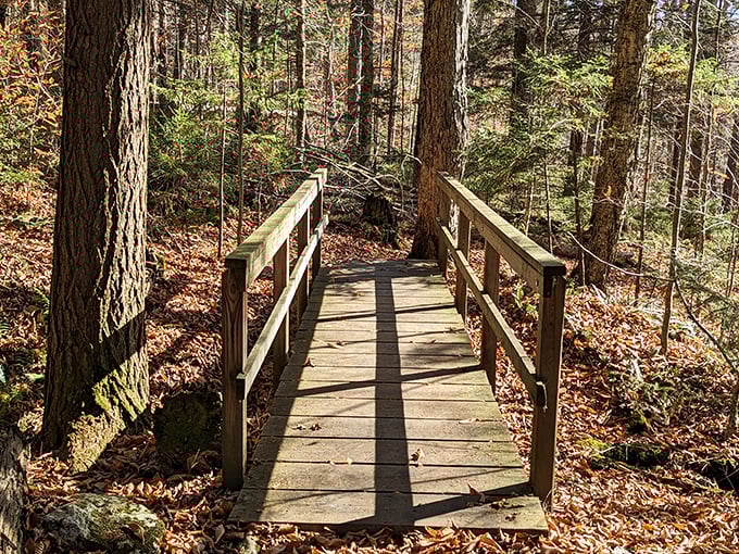 A simple wooden footbridge offers passage across the stream, no toll required except your appreciation.