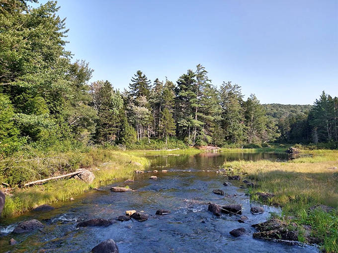 Nature's own meditation app &ndash; a babbling forest stream that soothes the soul better than any digital relaxation soundtrack ever could.