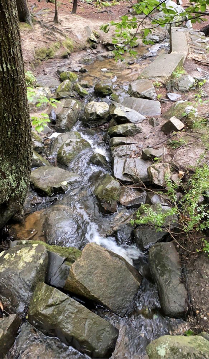 A gentle cascade tumbles over moss-covered rocks – nature's soundtrack that no Spotify playlist can match.