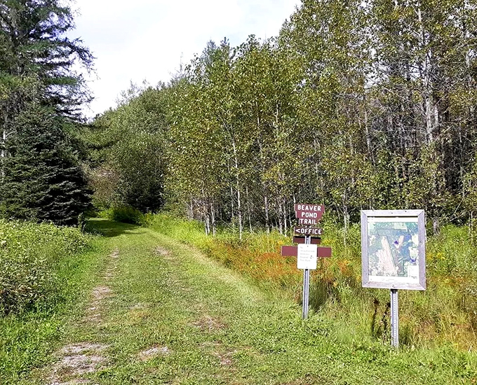Aroostook Wildlife Refuge's well-marked trails lead visitors through diverse habitats where wildlife viewing opportunities abound.