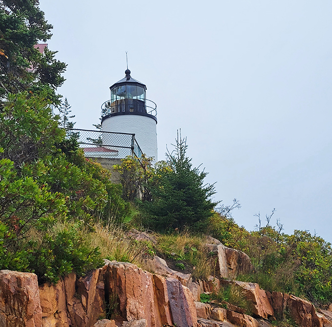 Bass Harbor Light stands sentinel at the edge of Acadia National Park, where forest meets sea in perfect Maine harmony.