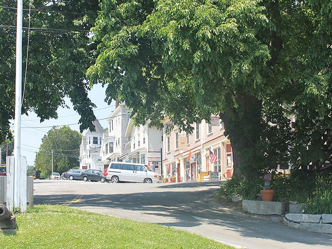 Castine's tree-lined streets showcase classic New England charm, where historic homes and small businesses create a living museum of coastal architecture. 