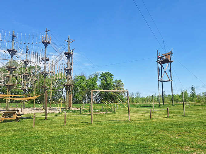 Adventure awaits at Kerfoot Canopy Tour, where zipline platforms rise above the forest floor for thrilling aerial experiences.